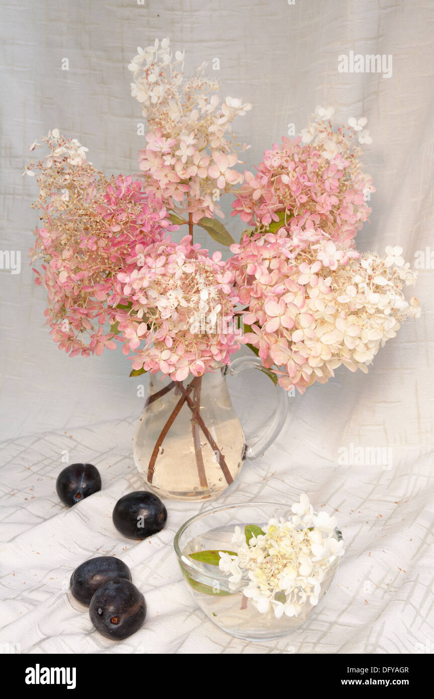 pink hydrangea tender still life bouquet Stock Photo - Alamy