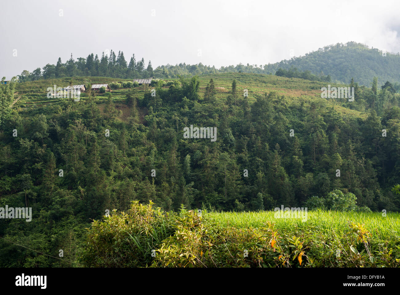 Black Hmong village landscape Catcat, Sa Pa, Lao Cai, Vietnam Stock ...