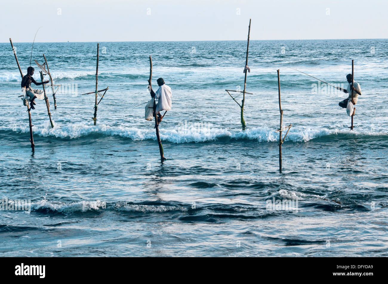 Perched on poles hi-res stock photography and images - Alamy