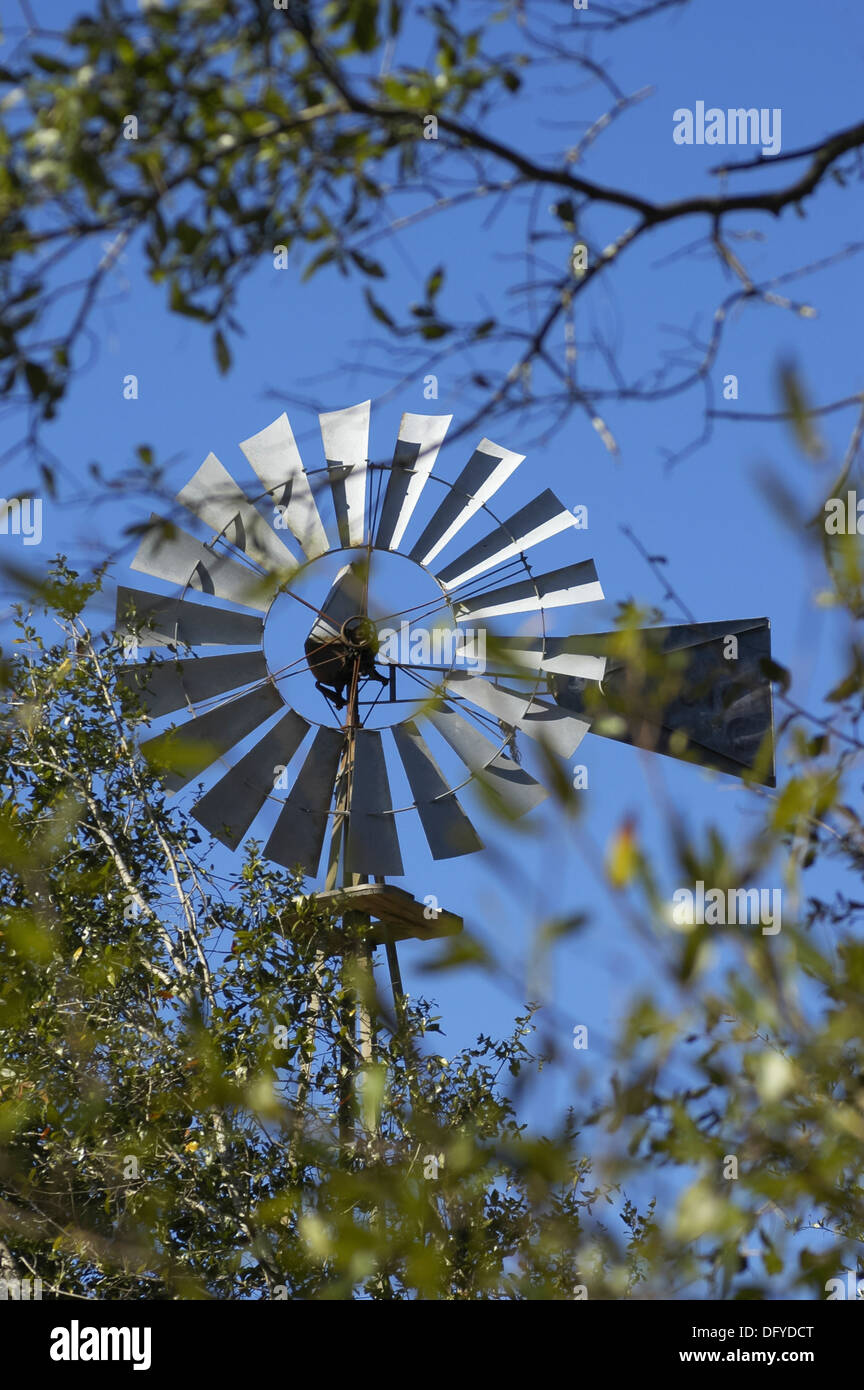 Dudley Farm Historic State Park in Newberry, Florida Stock Photo - Alamy