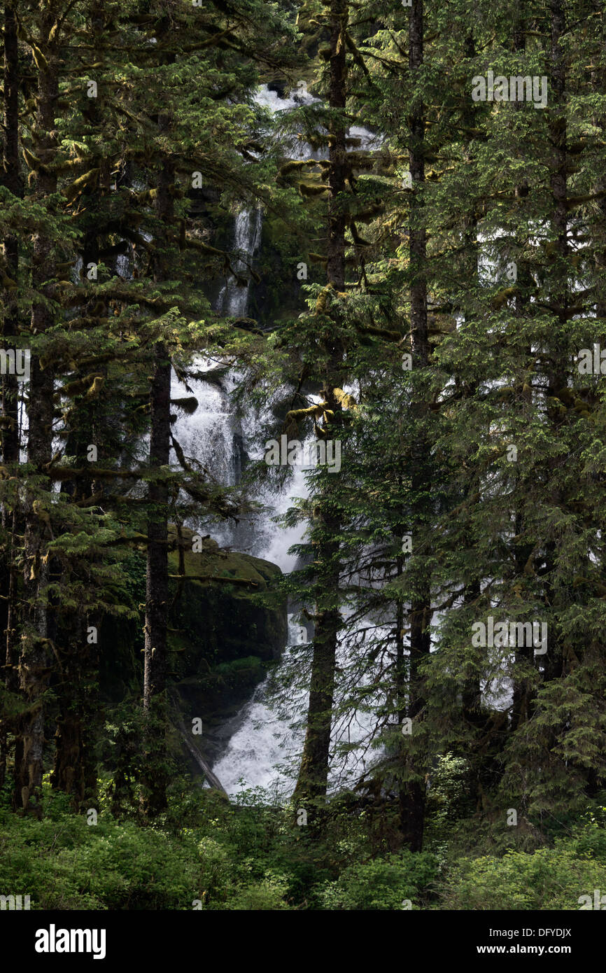 Waterfall in the north temperate rainforest, Khutze Inlet, mid-coast ...