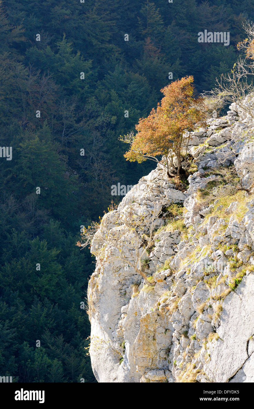 Rockcliff park hi-res stock photography and images - Alamy