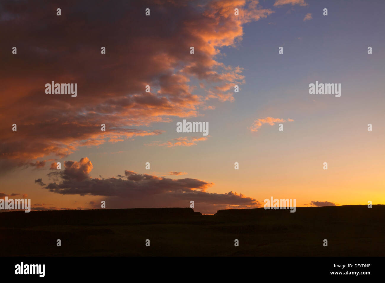 Seep hi-res stock photography and images - Alamy