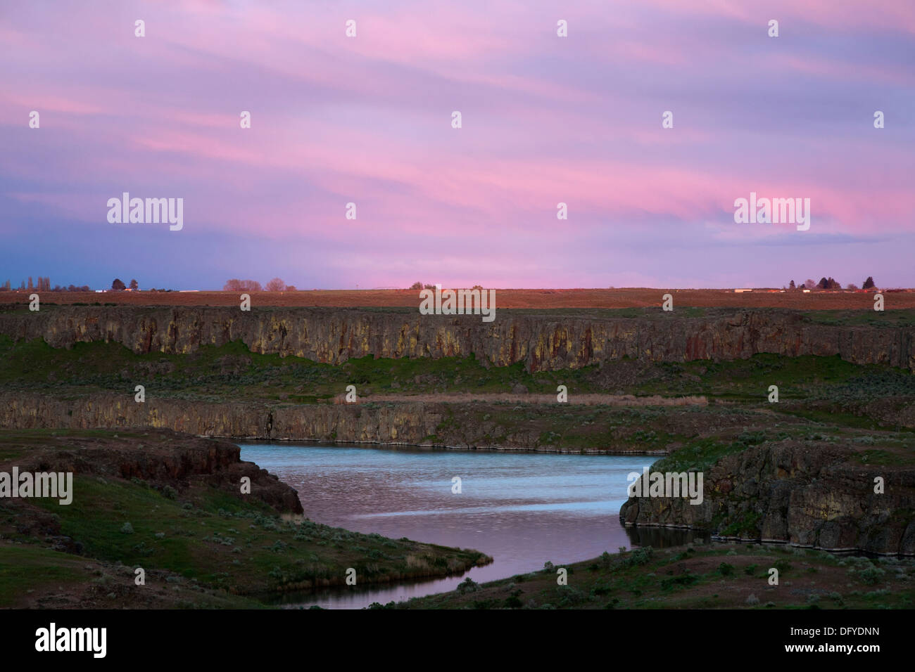 Seep fields hi-res stock photography and images - Alamy