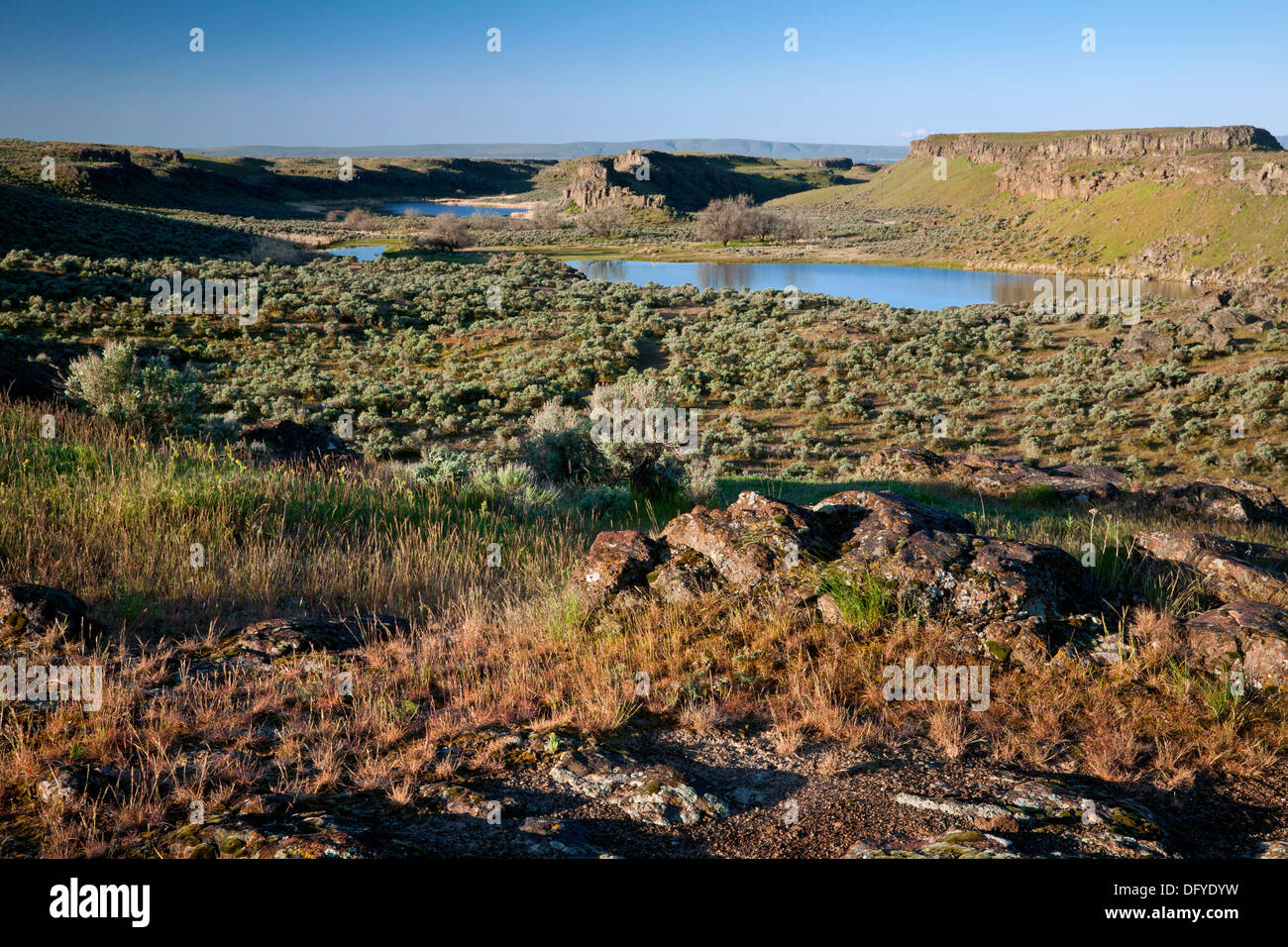 WASHINGTON - Katey Lake in the Seep Lakes Wildlife Area Stock Photo - Alamy