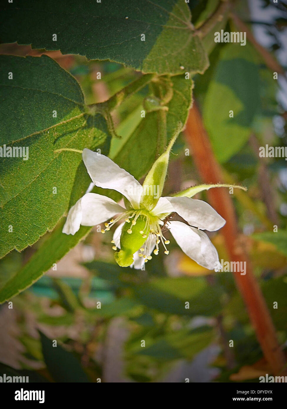 Panama and singapore hi-res stock photography and images - Alamy