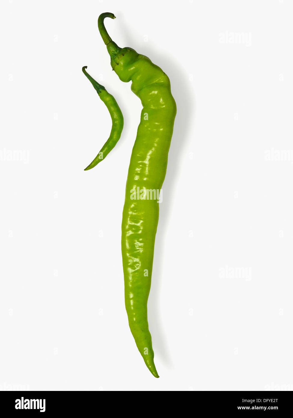 Common chili hi-res stock photography and images - Alamy