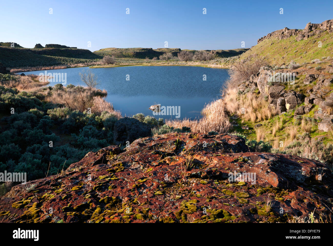 WASHINGTON - Katey Lake in the Seep Lakes Wildlife Area Stock Photo - Alamy