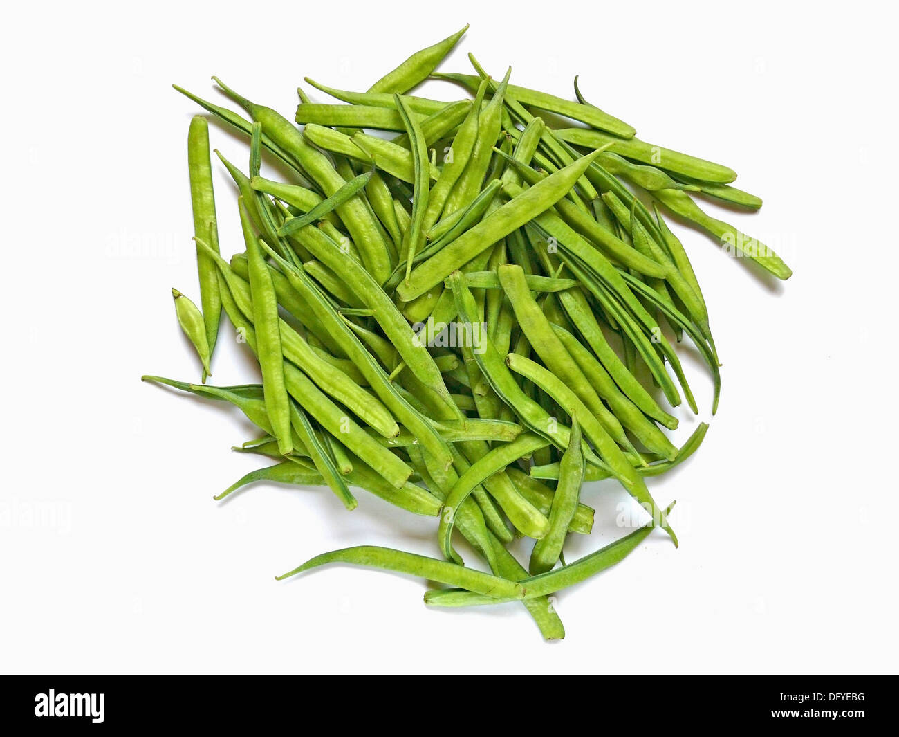 Cyamopsis tetragonoloba hi-res stock photography and images - Alamy