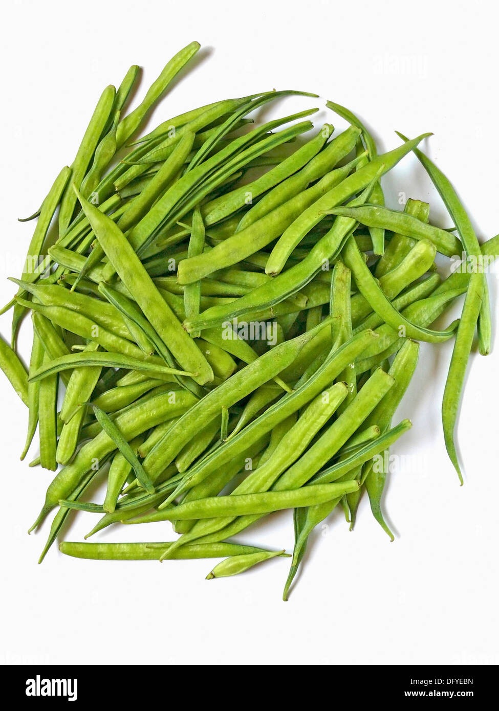 Cyamopsis tetragonoloba hi-res stock photography and images - Alamy