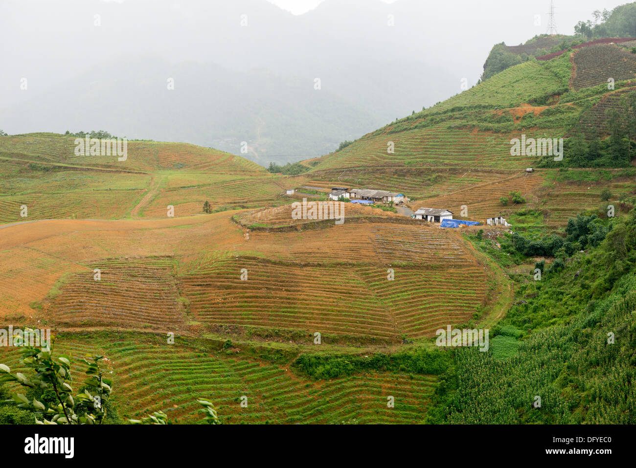Wiggly Path High Resolution Stock Photography and Images - Alamy