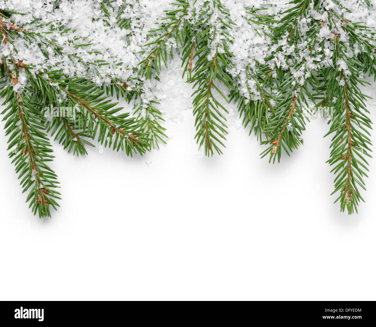 border from fir twigs and fake snow, on white background Stock Photo ...