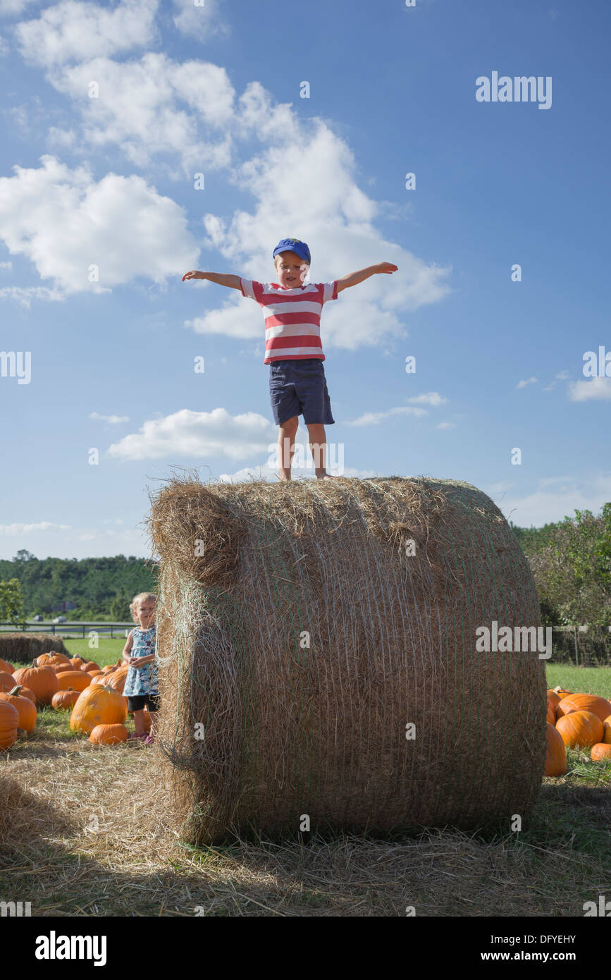 Children playing on a farm hi-res stock photography and images - Alamy