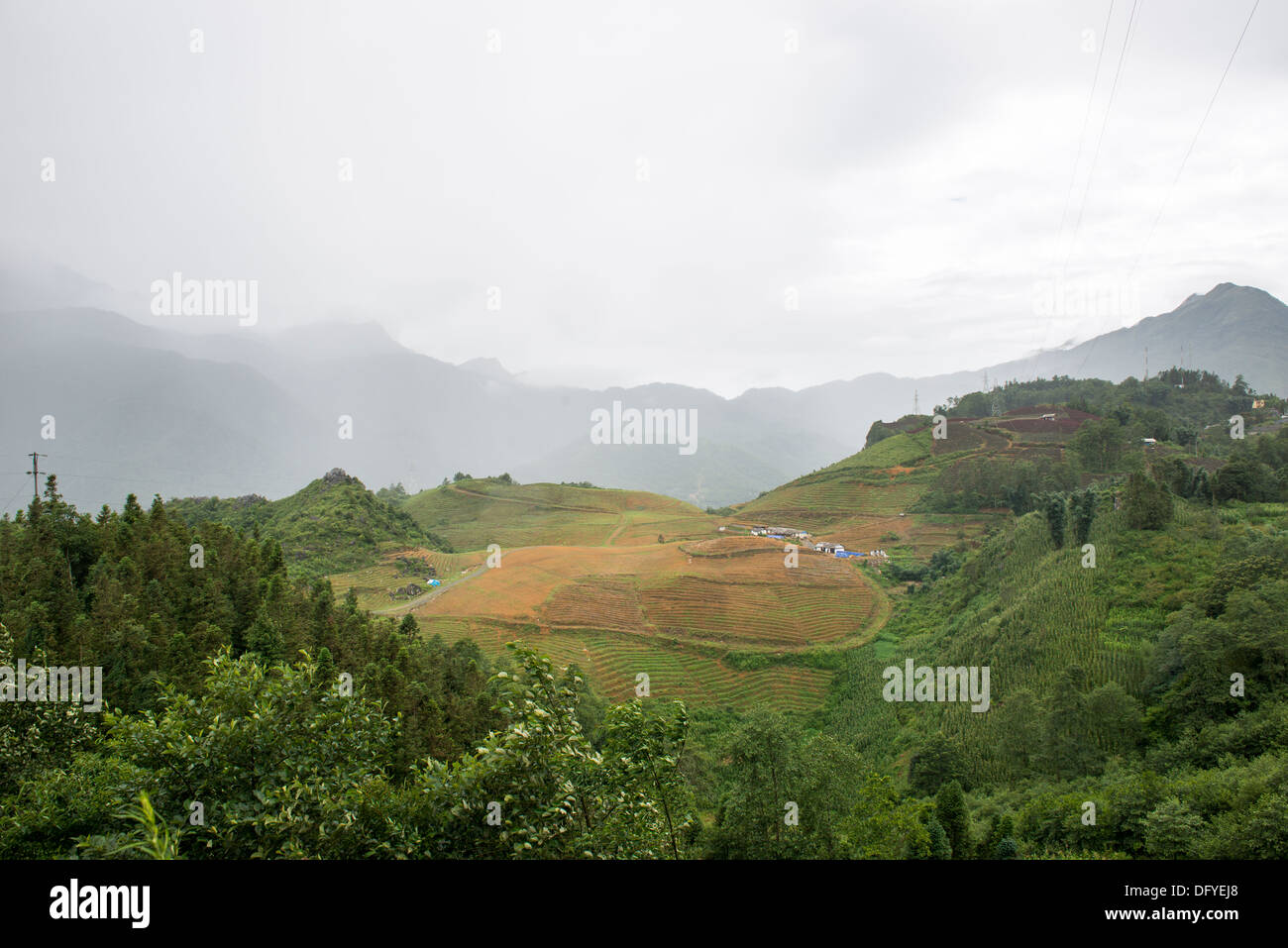 Wiggly Path High Resolution Stock Photography and Images - Alamy