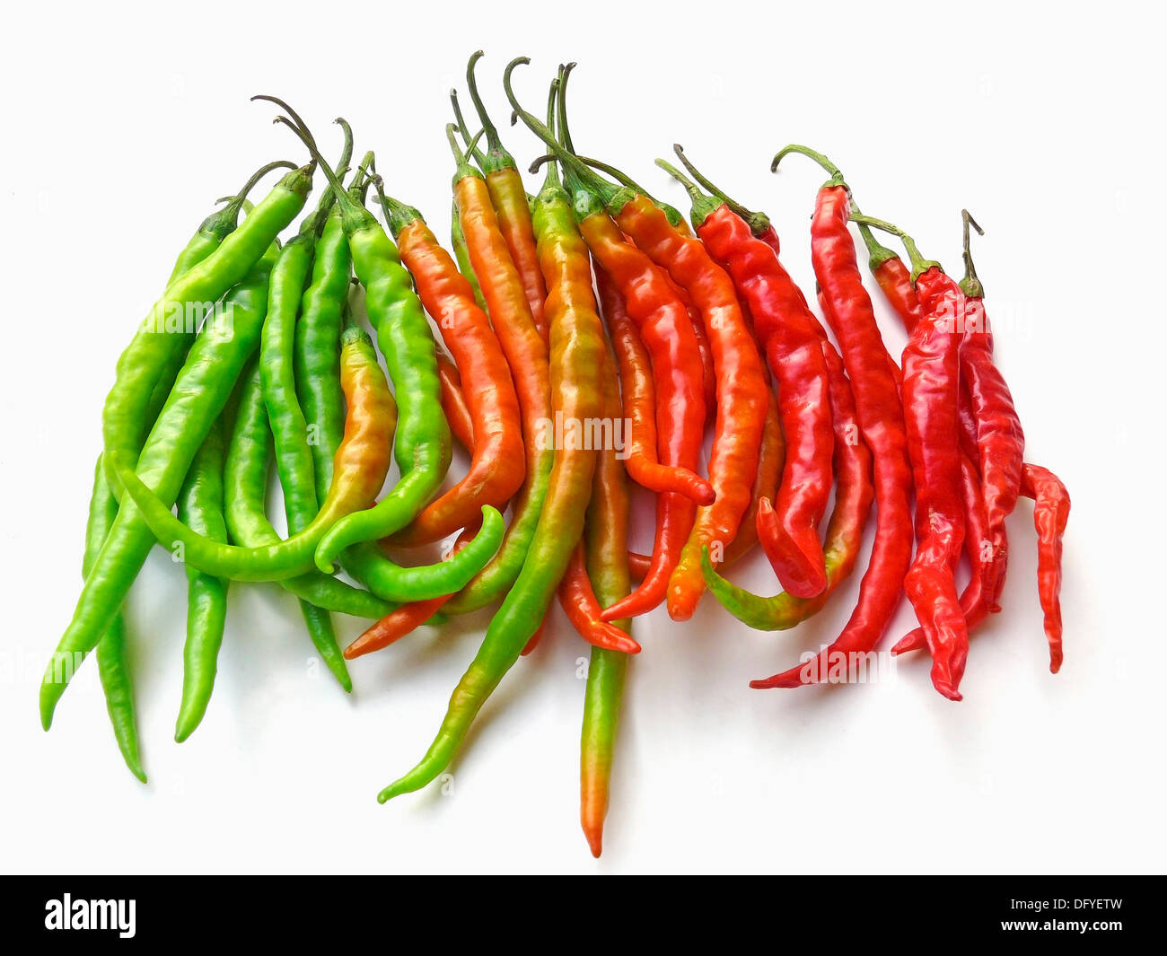 Capsicum Annuum Grossum High Resolution Stock Photography and Images ...