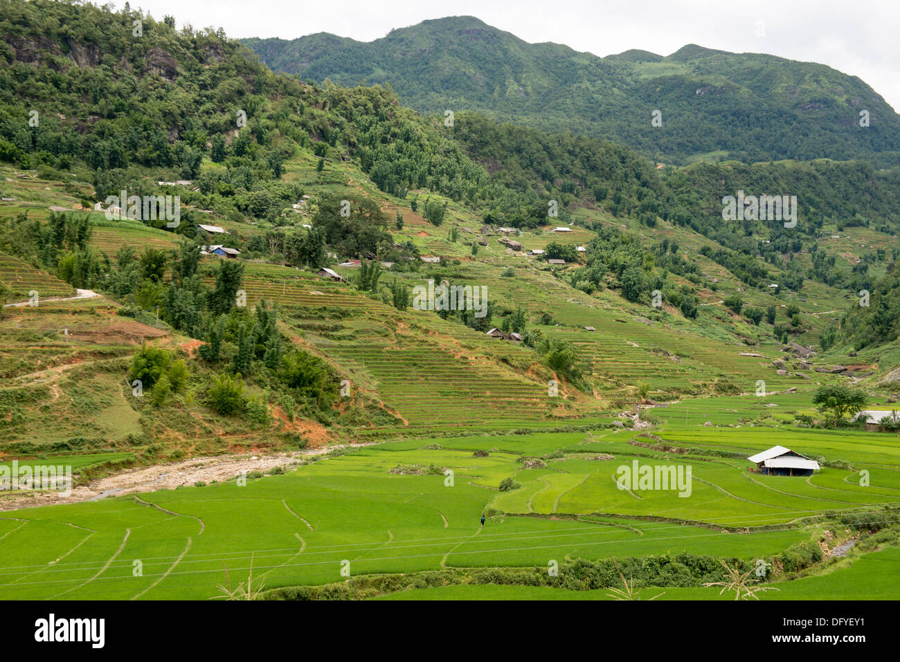 Wiggly Path High Resolution Stock Photography and Images - Alamy