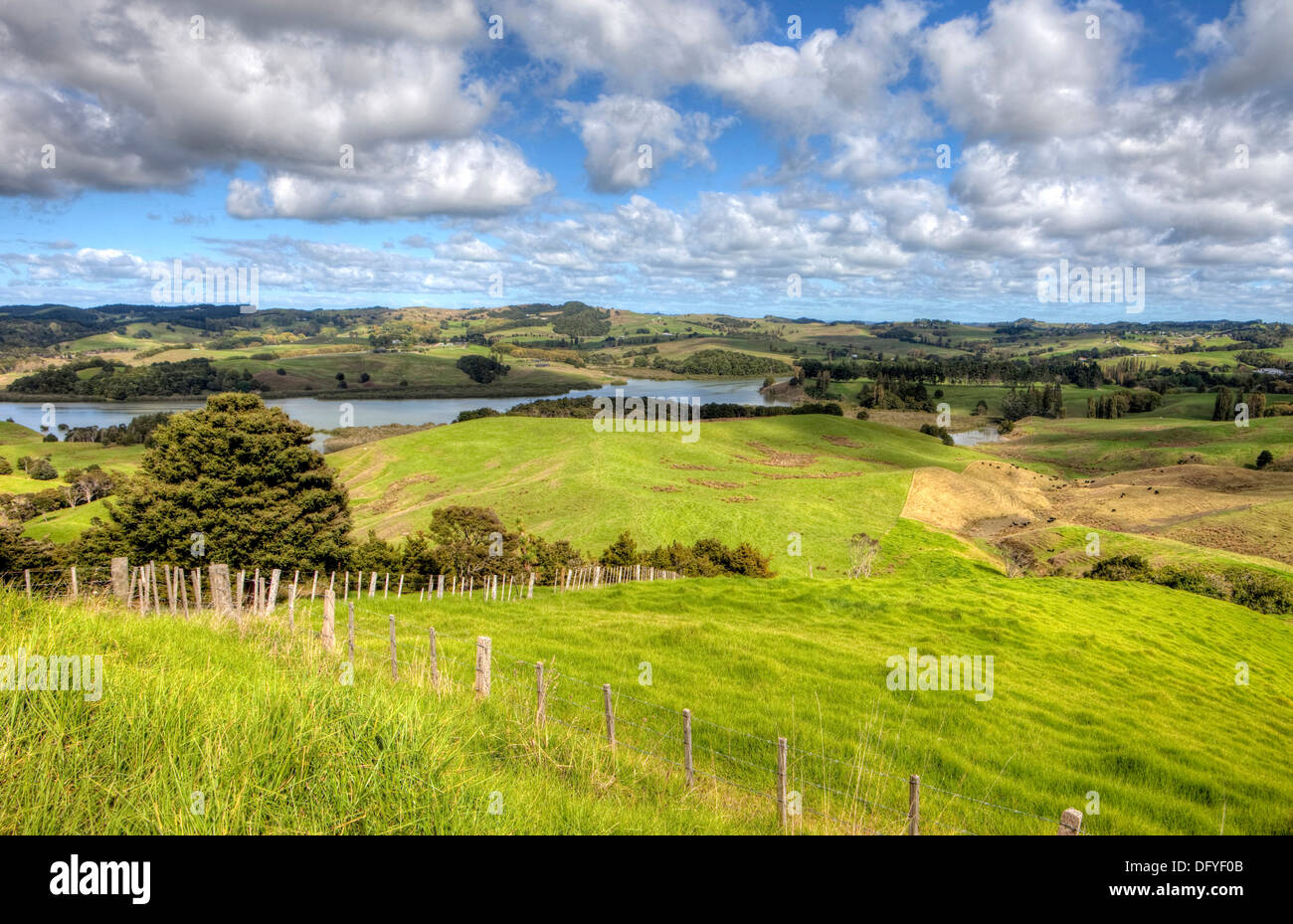 Dargaville hi-res stock photography and images - Alamy