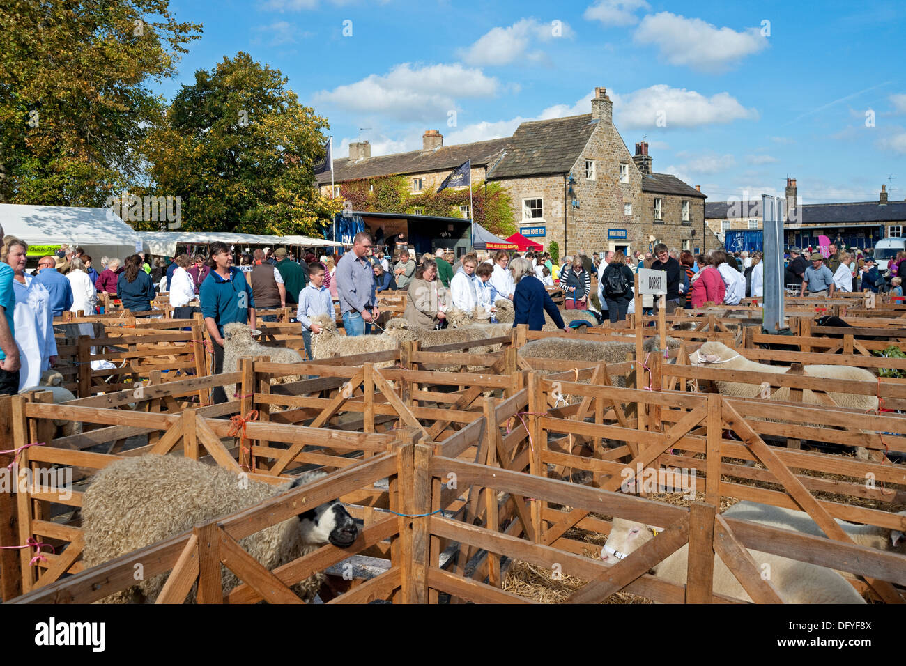 Sheep in pens at the Annual Masham Sheep Fair North Yorkshire England ...