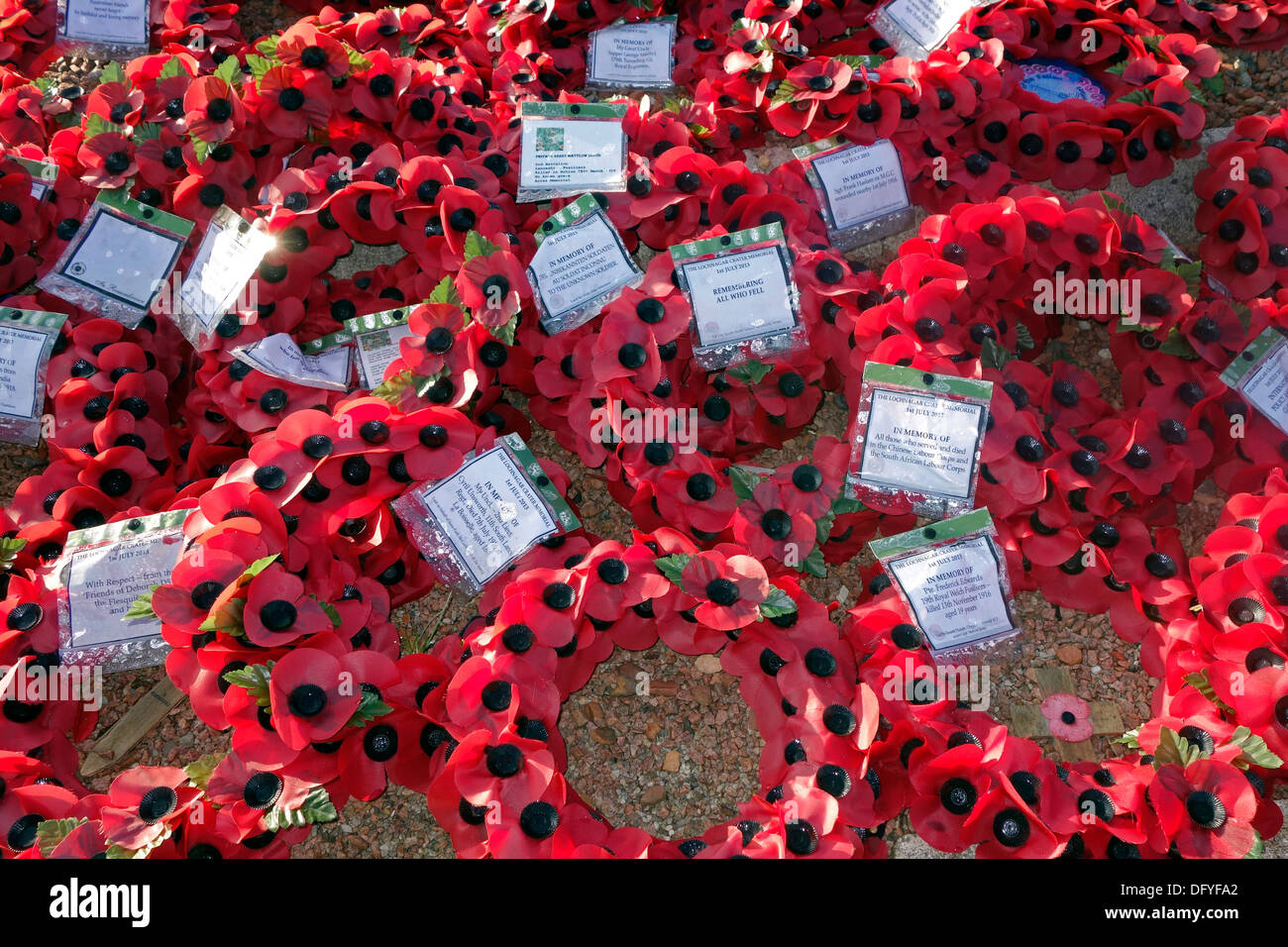 First world war battlefield poppies hi-res stock photography and images ...