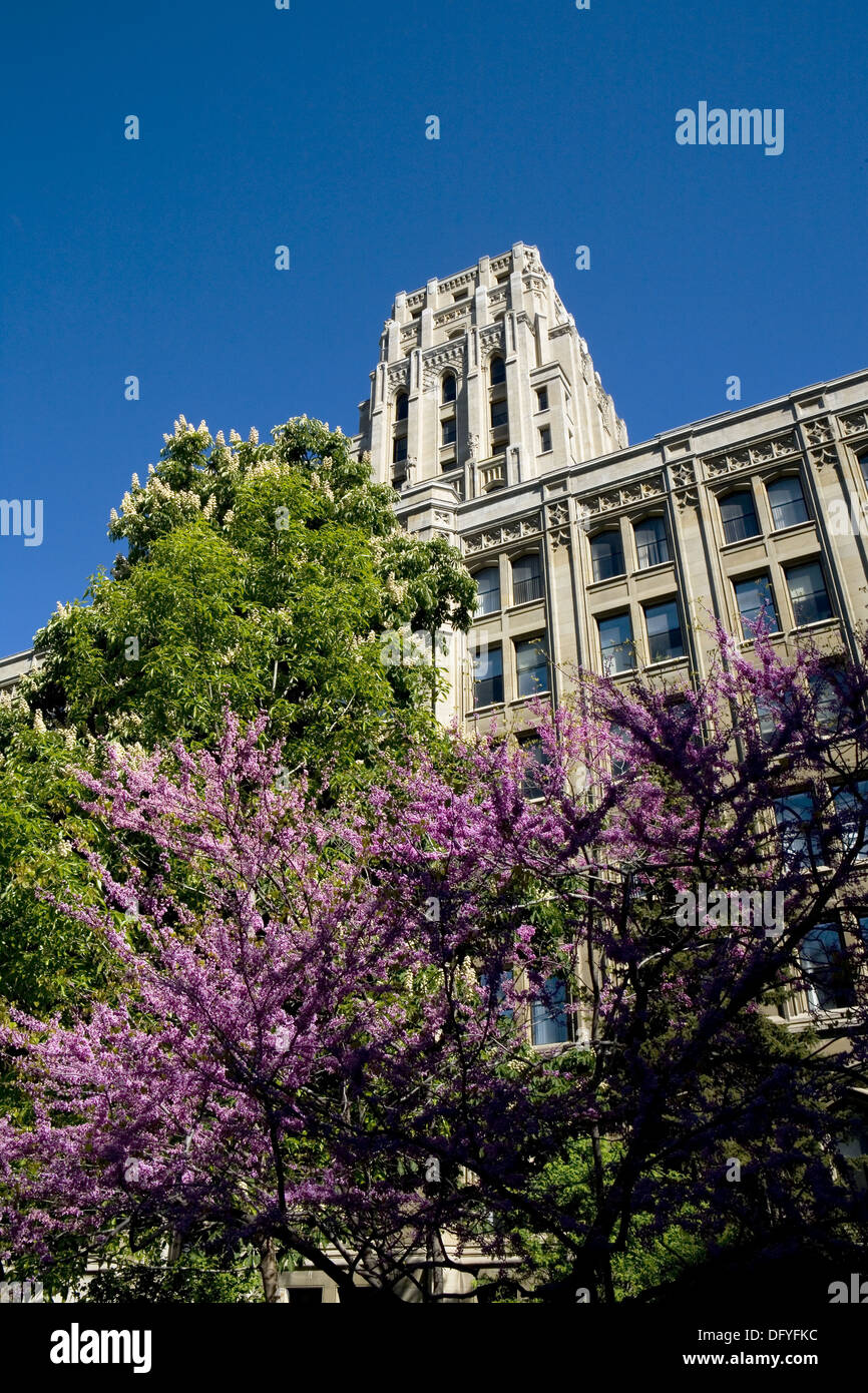 Whitney block hi-res stock photography and images - Alamy