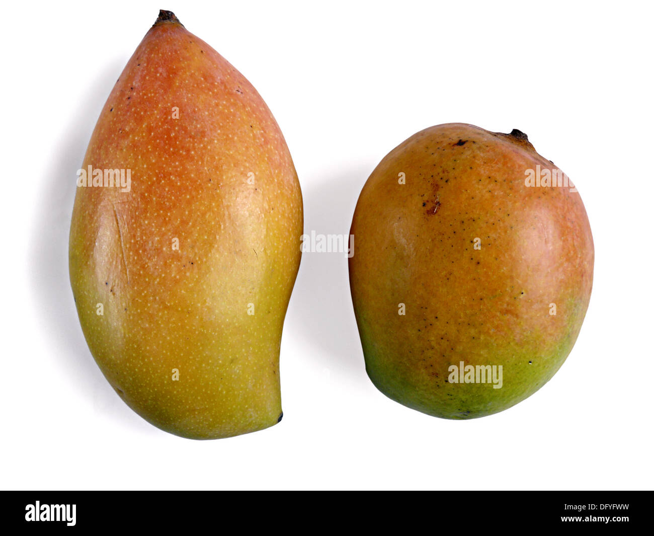 Mango shape hi-res stock photography and images - Alamy