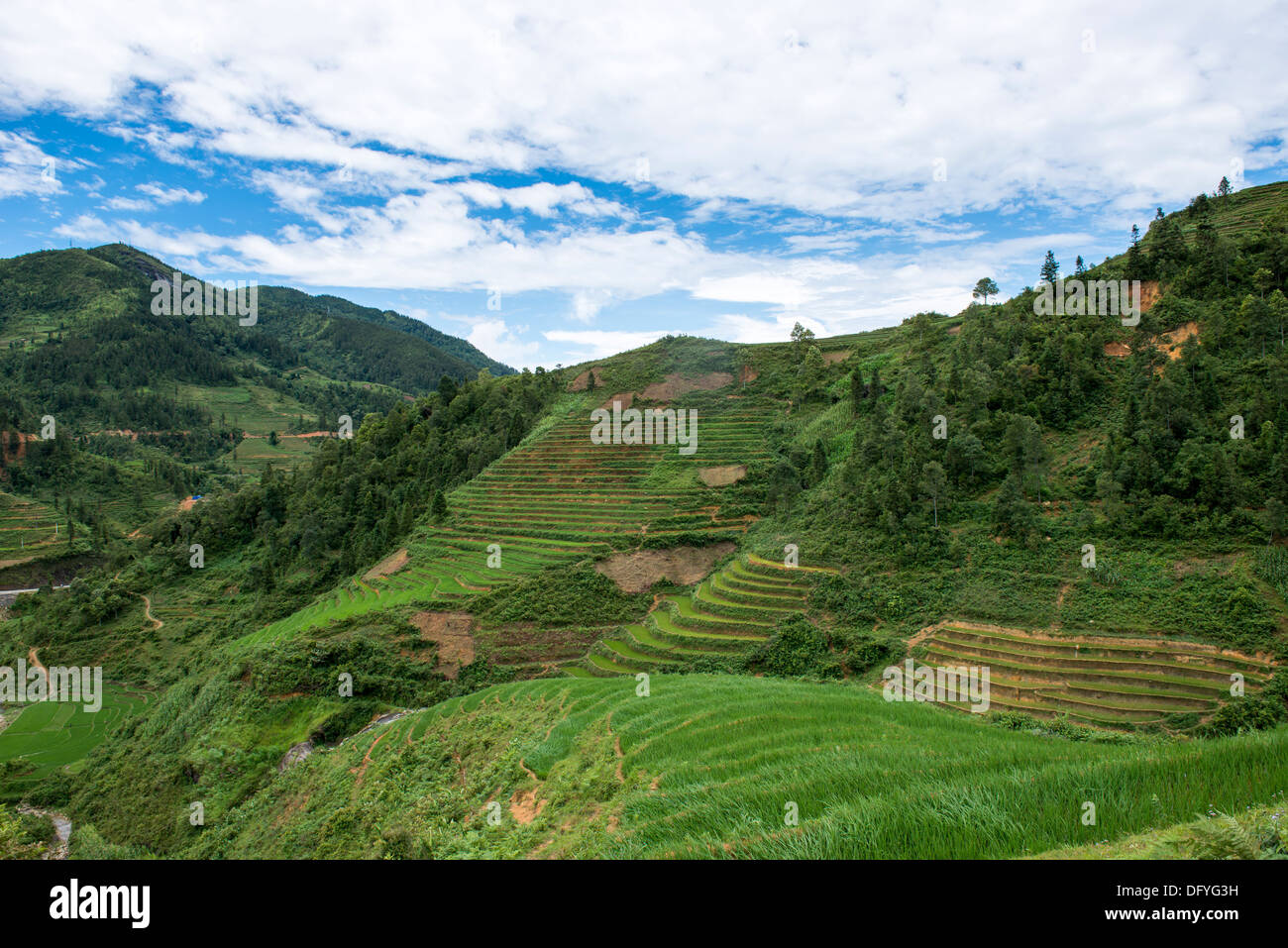 Landscape of rural Sa Pa high land, People make rice terrace and curved ...