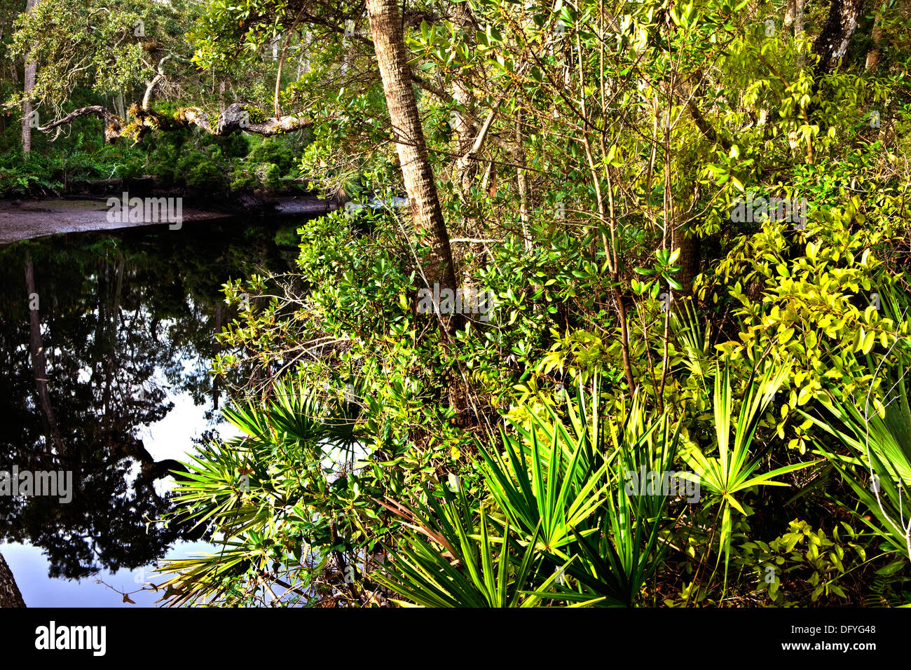 New Port Richey Florida High Resolution Stock Photography and Images ...