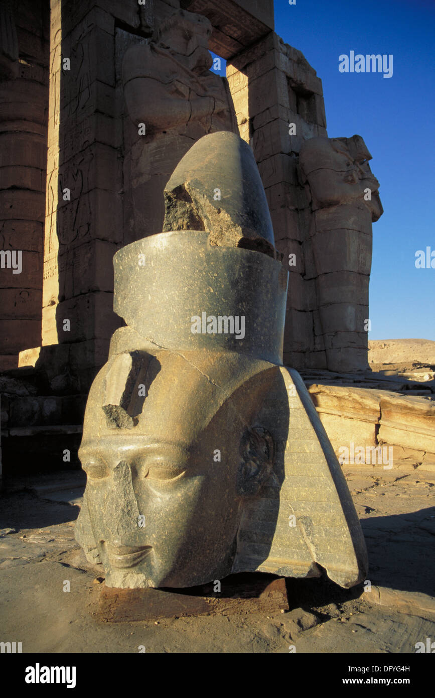 Broken Statue Head High Resolution Stock Photography and Images - Alamy