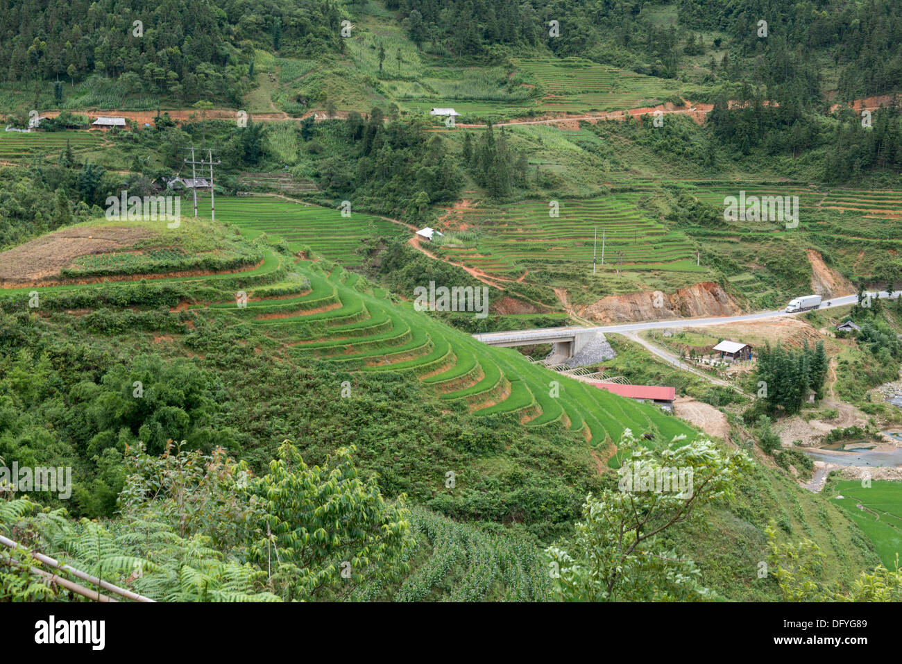 Landscape of rural Sa Pa high land, People make rice terrace and curved ...