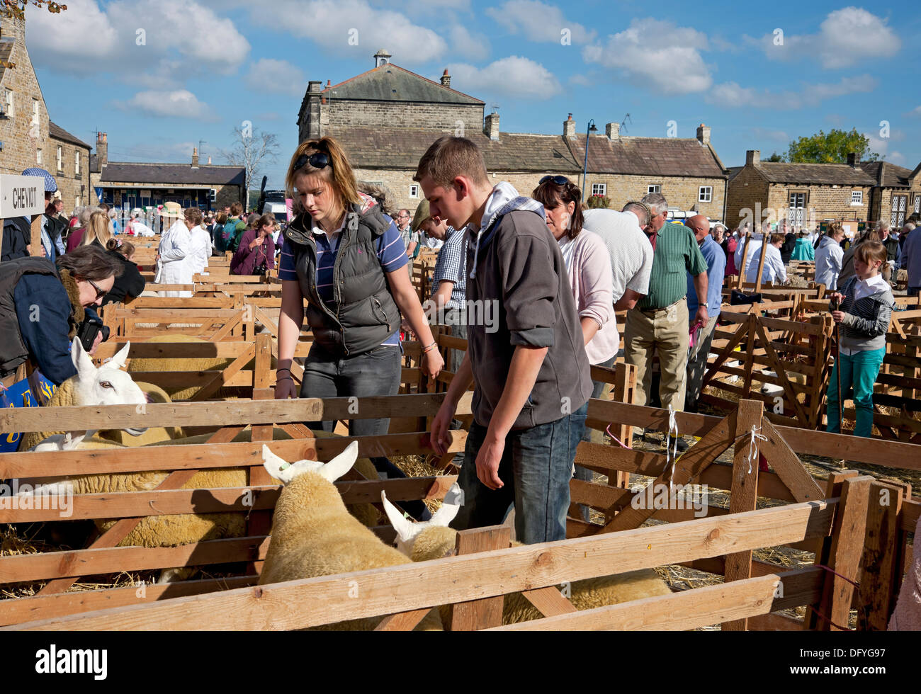 Farmers showing their sheep at Masham Sheep Fair North Yorkshire ...