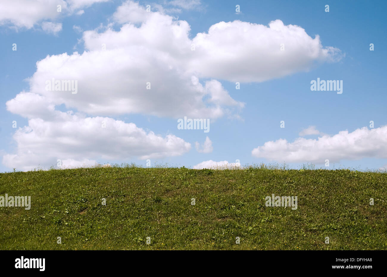 The sky in clouds and a green grass Stock Photo - Alamy