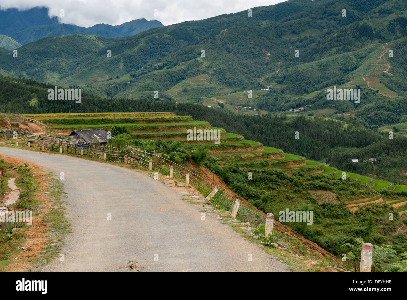 Landscape of rural Sa Pa high land, People make rice terrace and curved ...