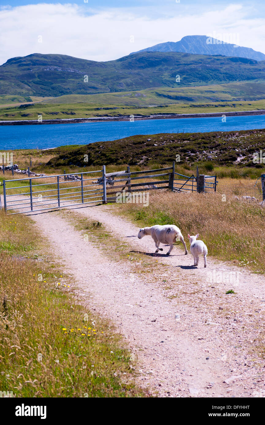 Loch gate hi-res stock photography and images - Alamy