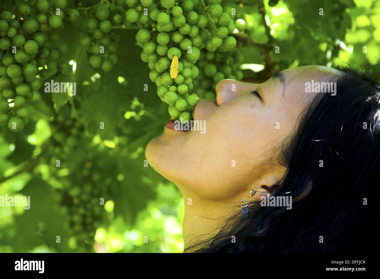 Chinese grapes hi-res stock photography and images - Alamy