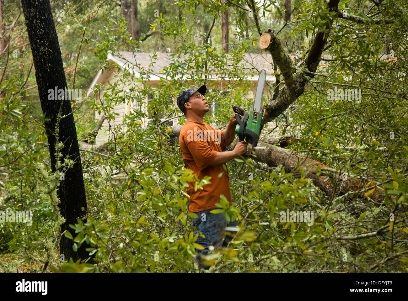 Cutting up felled trees into smaller pieces for removal Stock Photo - Alamy