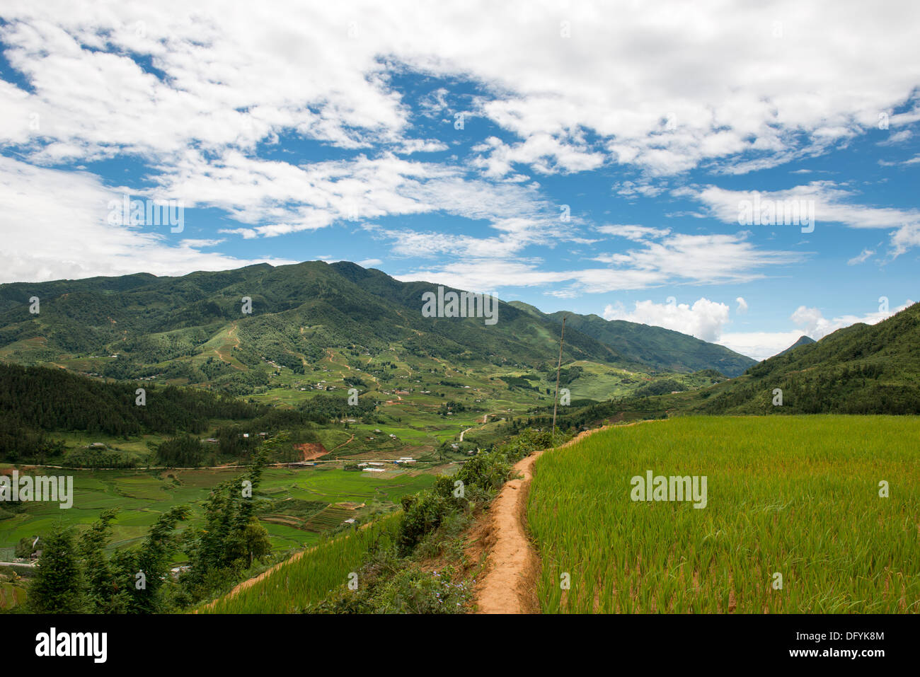 Landscape of rural Sa Pa high land, People make rice terrace and curved ...
