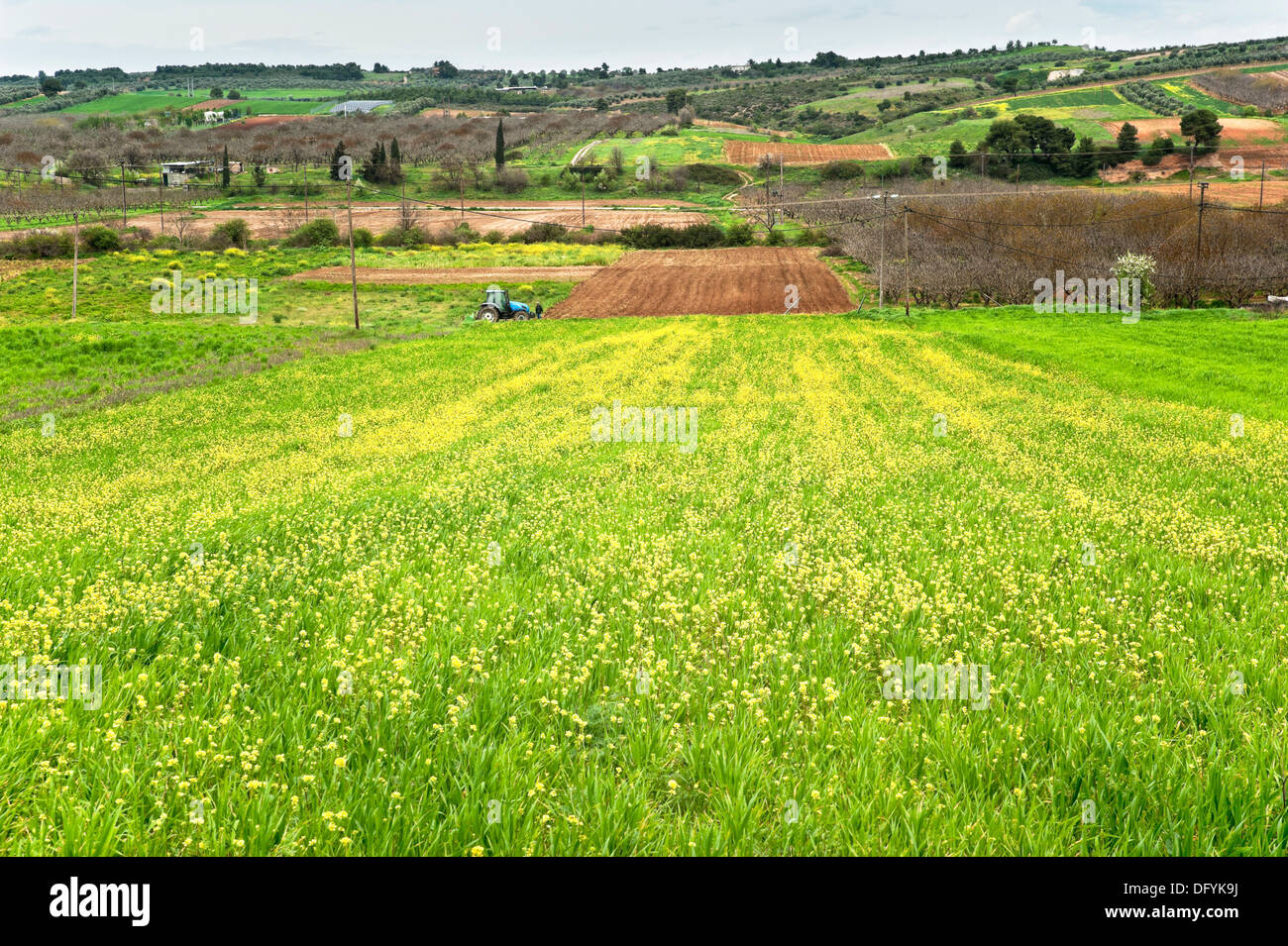 Beautiful view of a green plain Stock Photo - Alamy