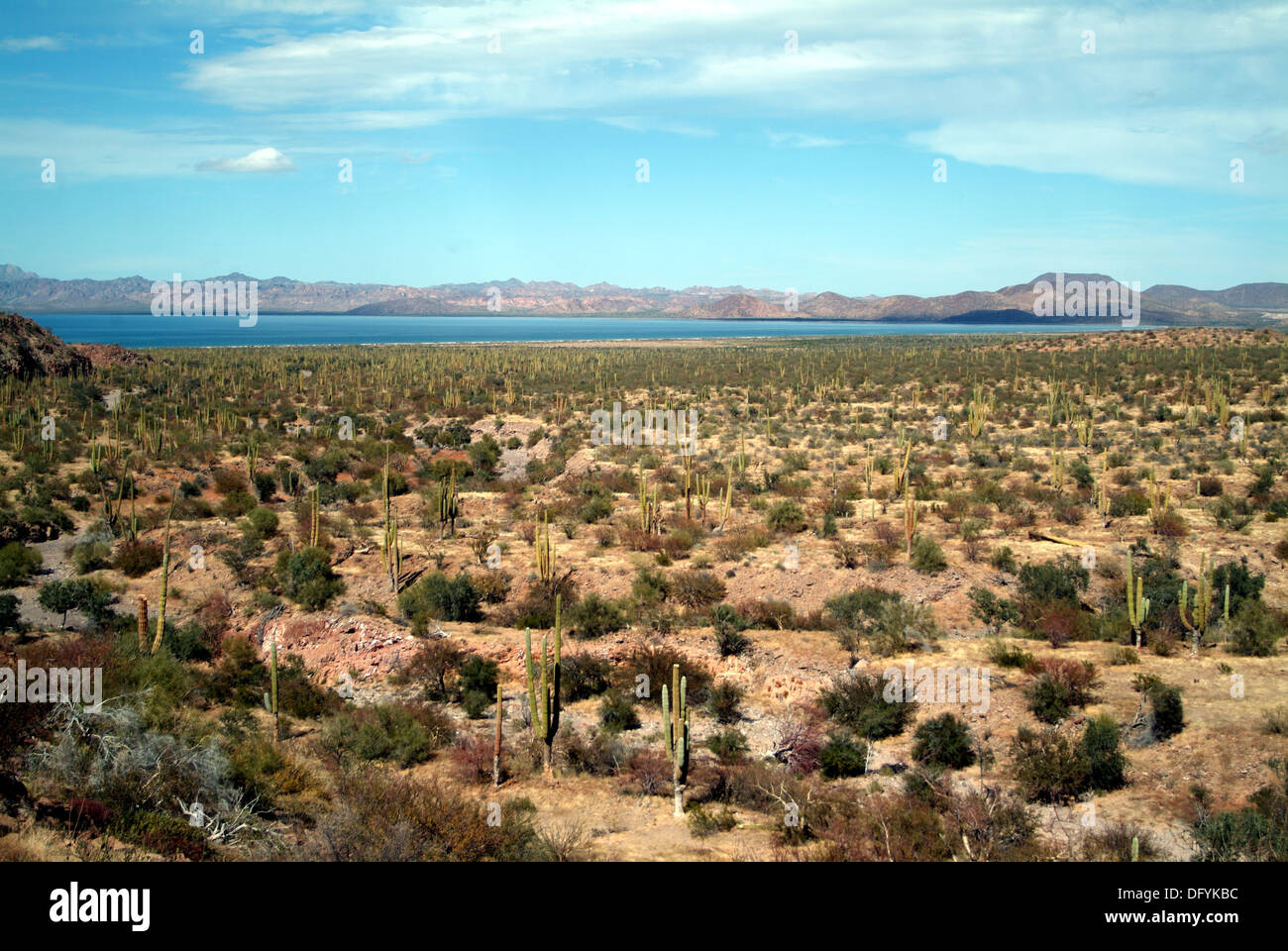 Cortes mar hi-res stock photography and images - Alamy