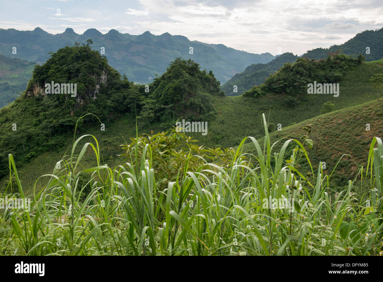 Landscape of on the way to Bac Ha town, many hill tribe minority`s ...