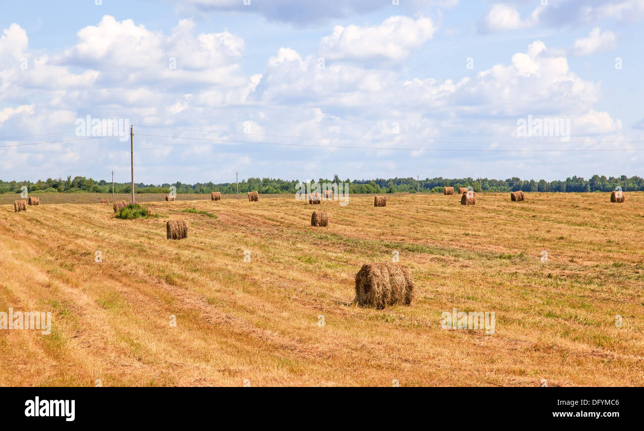 Autumn. Hay rolls. Beautiful agricultural landscape Stock Photo - Alamy