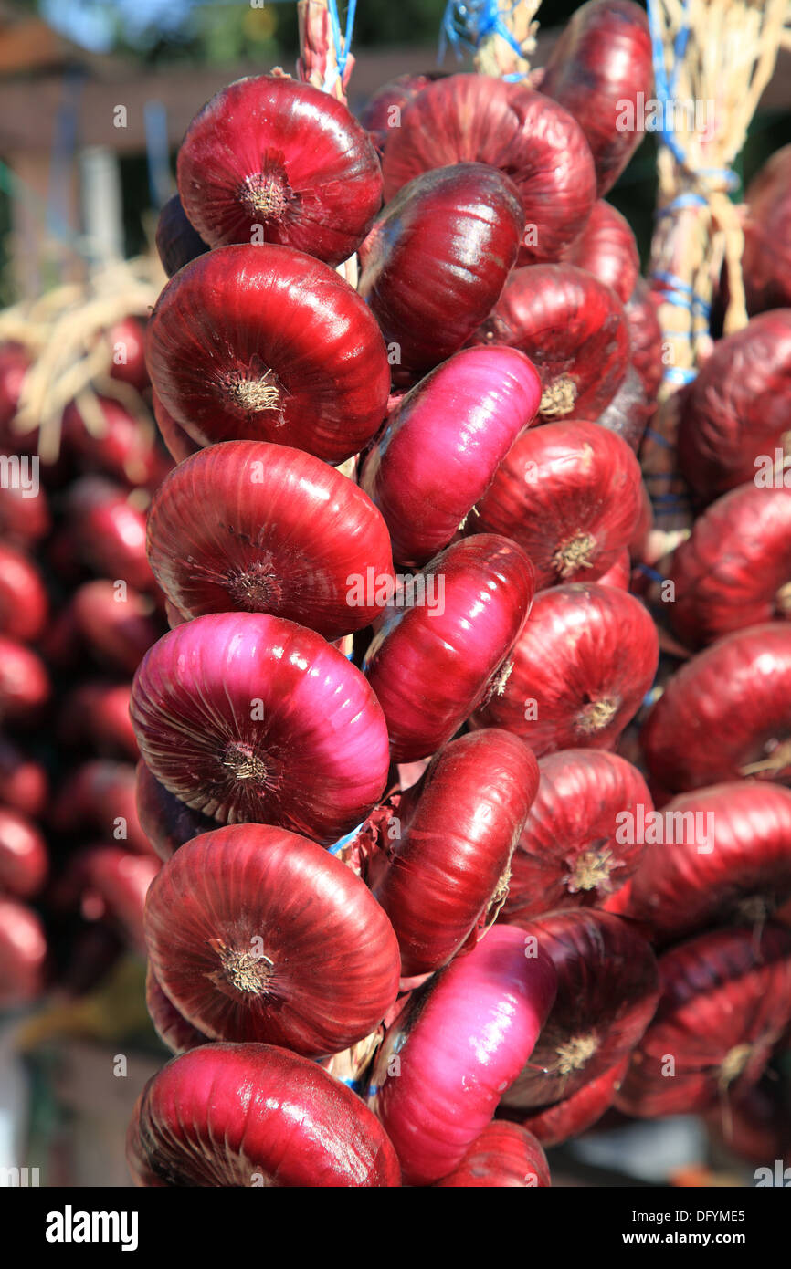 Useful meal. Red sweet onions Stock Photo - Alamy