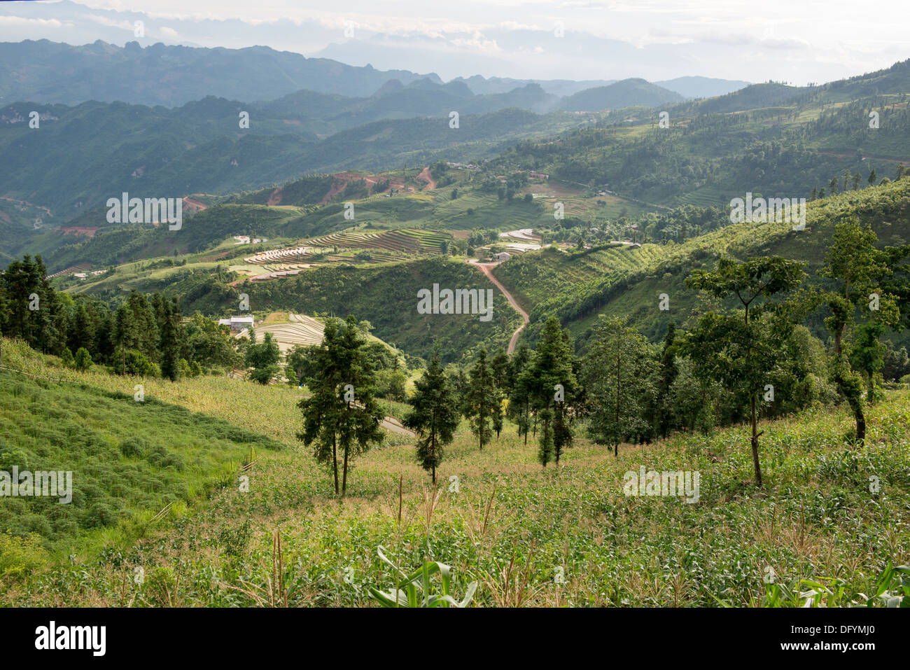Landscape of on the way to Bac Ha town, many hill tribe minority`s ...