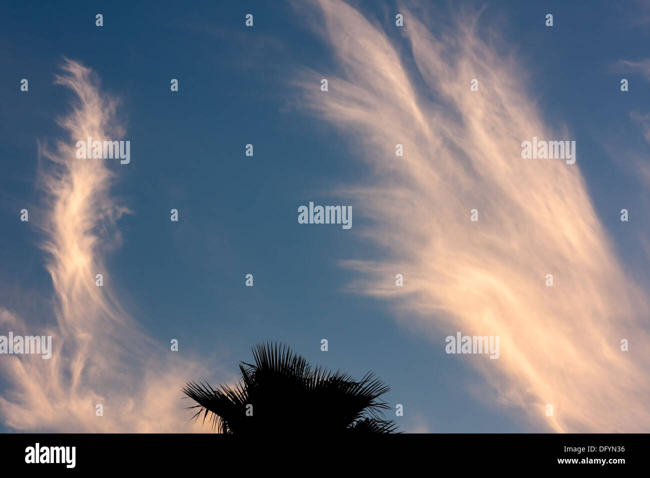 Cirrus fibrous hi-res stock photography and images - Alamy
