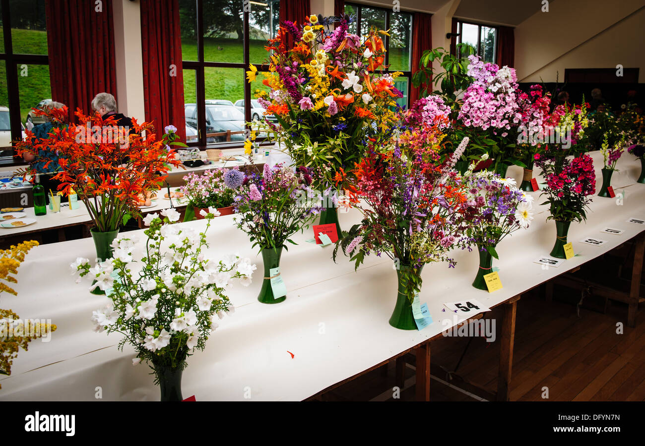 Flower display at a village flower show Stock Photo - Alamy