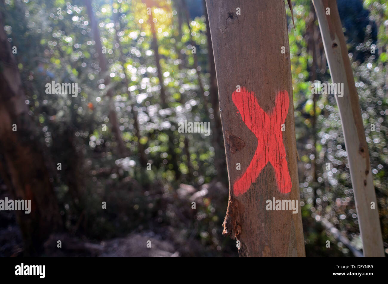 Marked with x hi-res stock photography and images - Alamy
