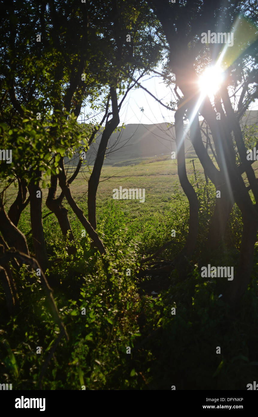 Beautiful landscapes next to Torimbia beach, Llanes Stock Photo - Alamy