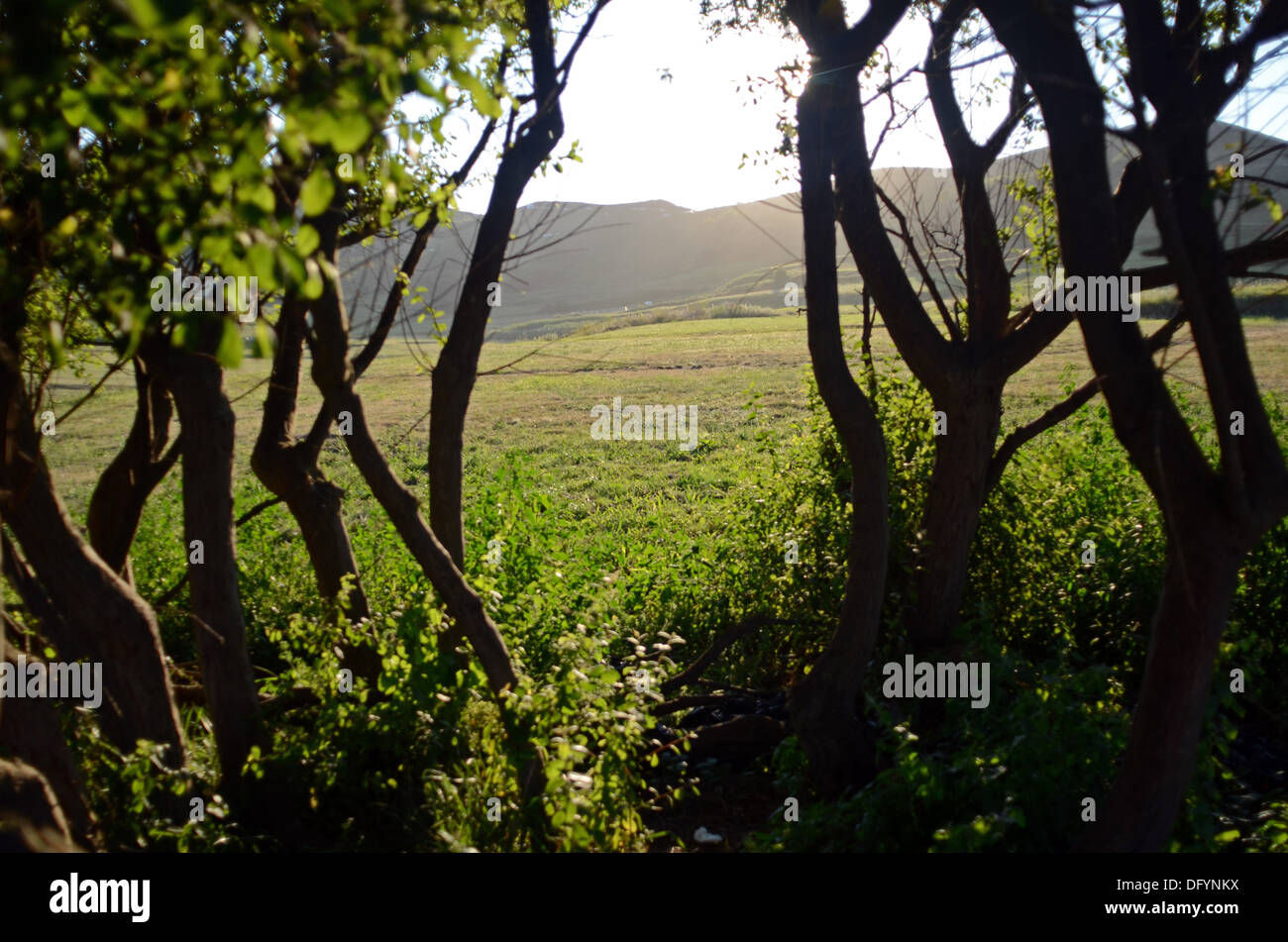 Beautiful landscapes next to Torimbia beach, Llanes Stock Photo - Alamy