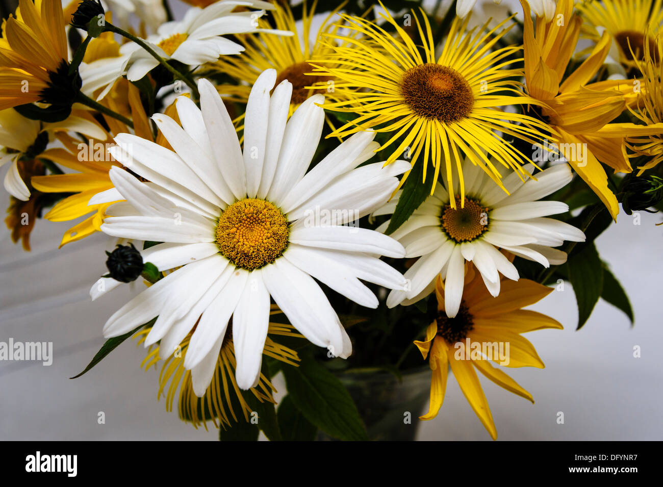 Flower display at a village flower show Stock Photo - Alamy