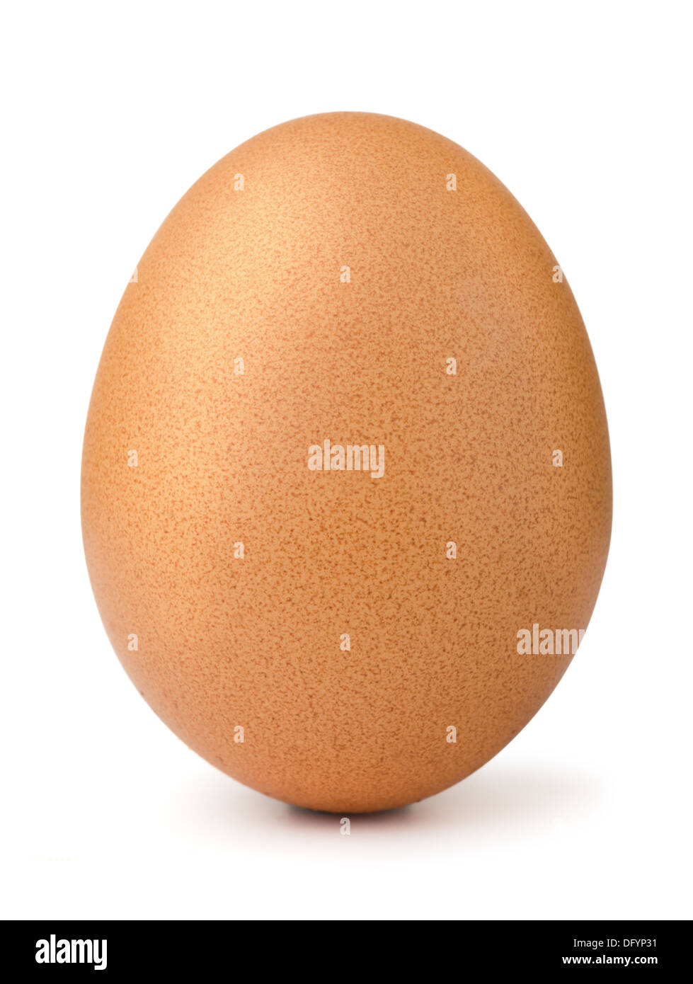 Close up whole brown egg Cut Out Stock Images & Pictures - Alamy