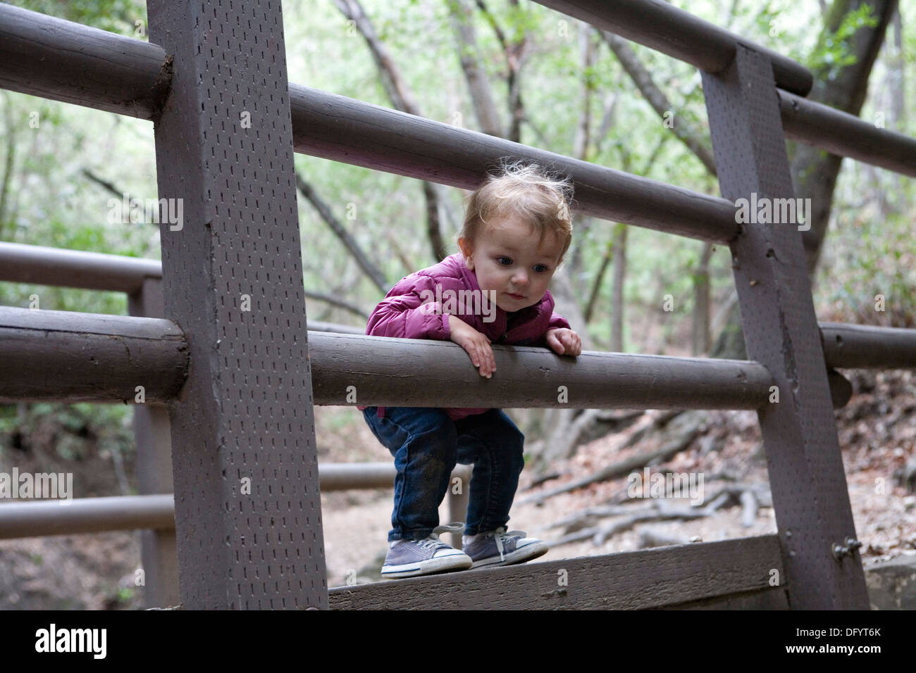 Cute Toddler Girl climbing a railing Stock Photo - Alamy